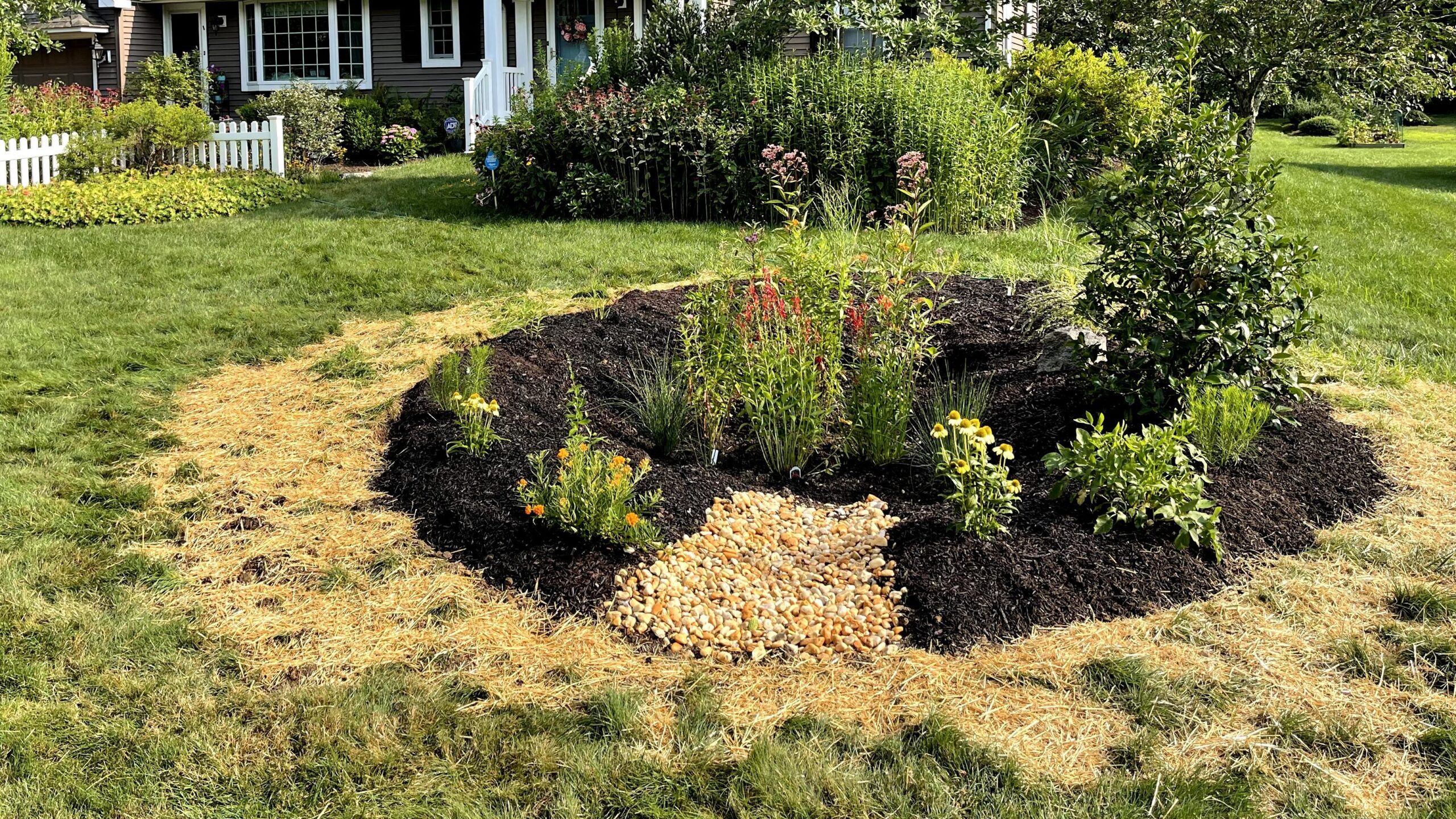 How to Build a Rain Garden: Sustainable Oasis Guide - Get House Decor Ideas